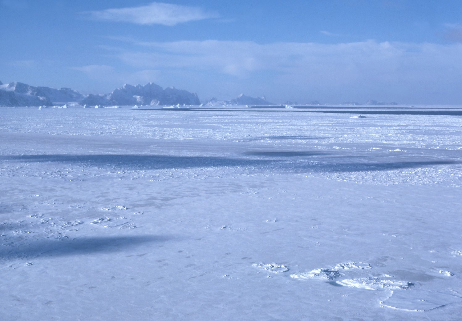 Icebergs - Polar regions fact file, Antarctica and the Arctic